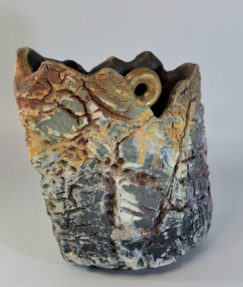 Evolution Vessel II by Billy Adams – Makers Guild in Wales